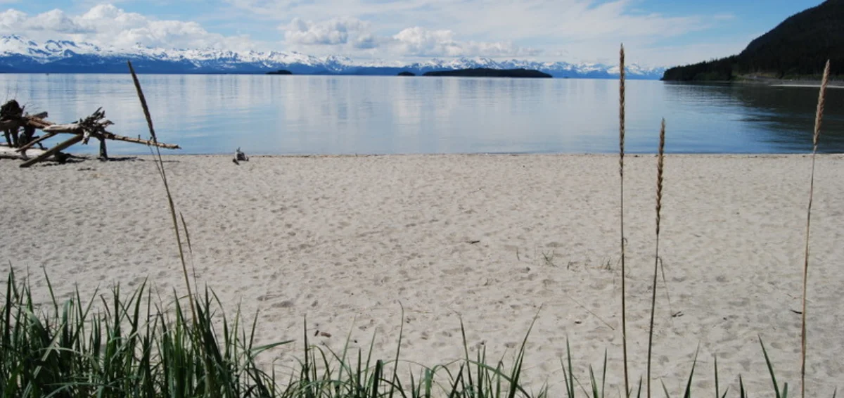 12 Wonderful Alaska Beaches You Must Visit in This Summer