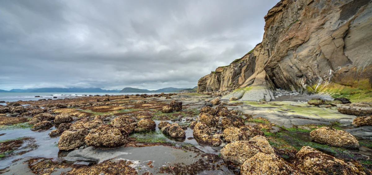 12 Wonderful Alaska Beaches You Must Visit in This Summer